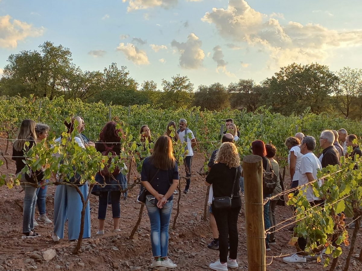 The Sopar del Most ( Must Dinner) of Abadal returns - Bodegues Abadal