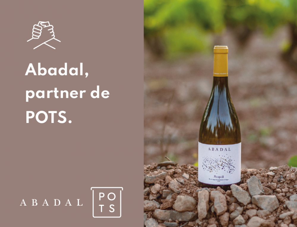 Five Abadal wines receive 90 points and over in the wine guide Guía ...