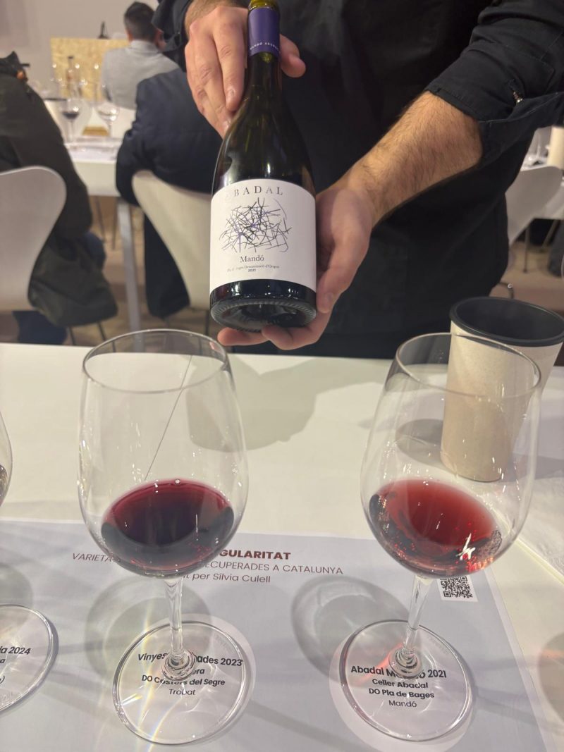 Abadal, vinos denominación Pla de Bages